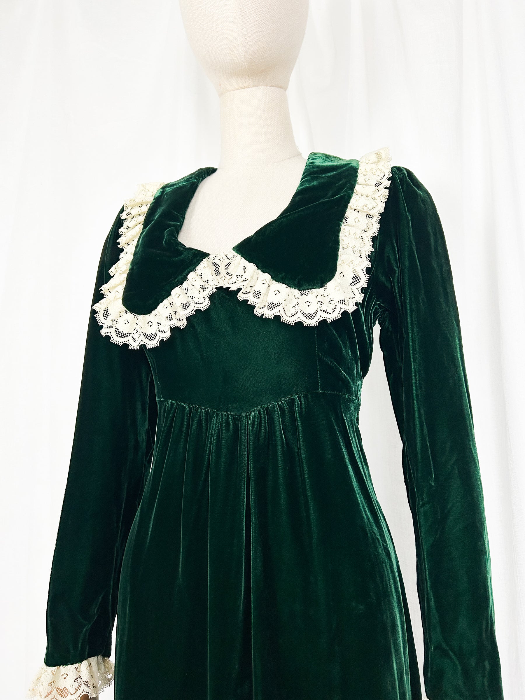 The Poison Ivy – The Pansy Garden